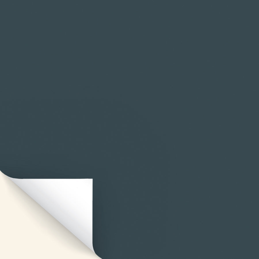 Midnight Hue Sample Paint Patch | Zhoosh Paints