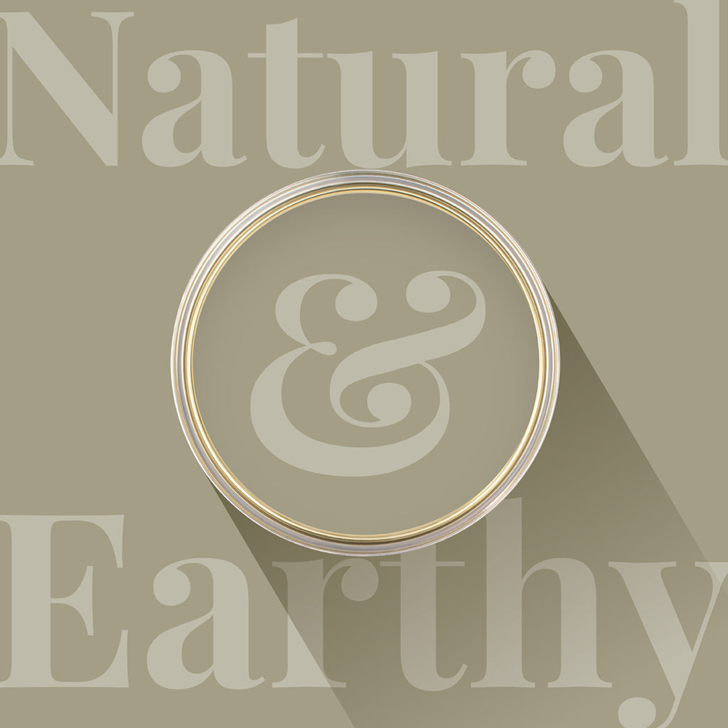 Light Olive Green Paint | Olive Tree Flat Matt | Zhoosh – Zhoosh Paint