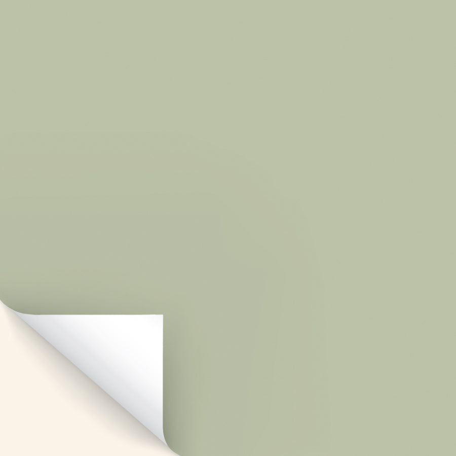 Bird Song Sample Paint Patch | Zhoosh Paints
