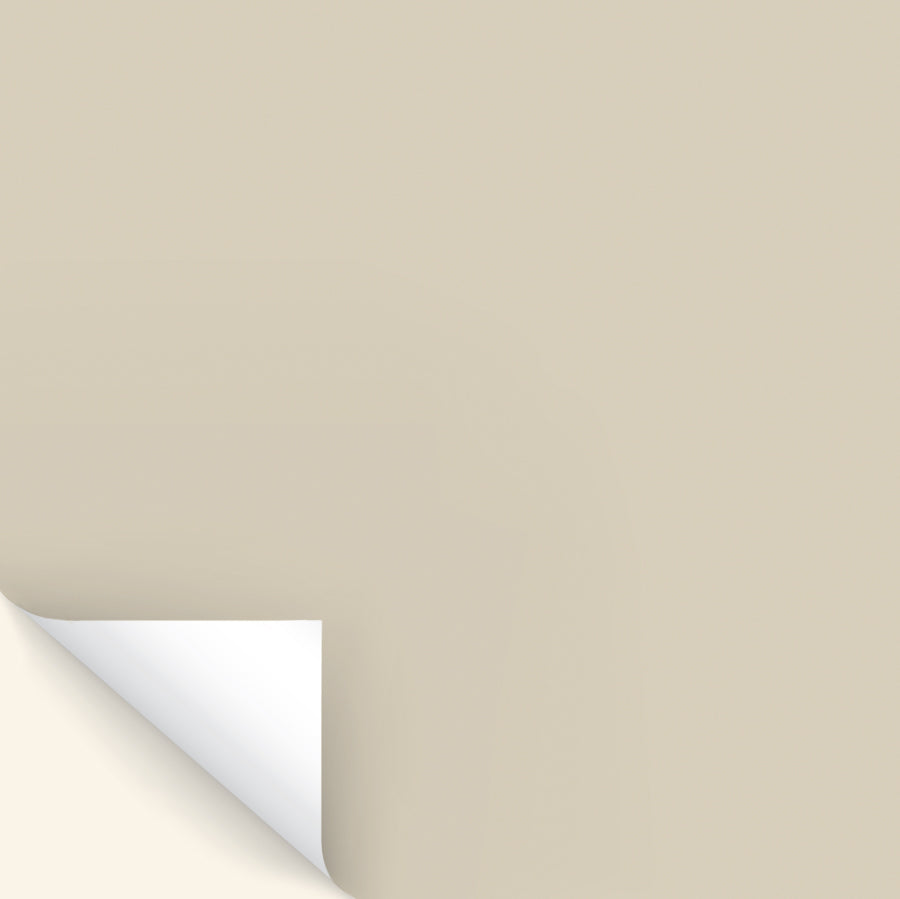 Drifting Sample Paint Patch | Zhoosh Paints