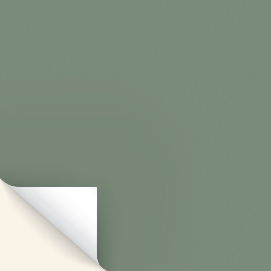 Emerald Bay Sample Paint Patch | Zhoosh Paints