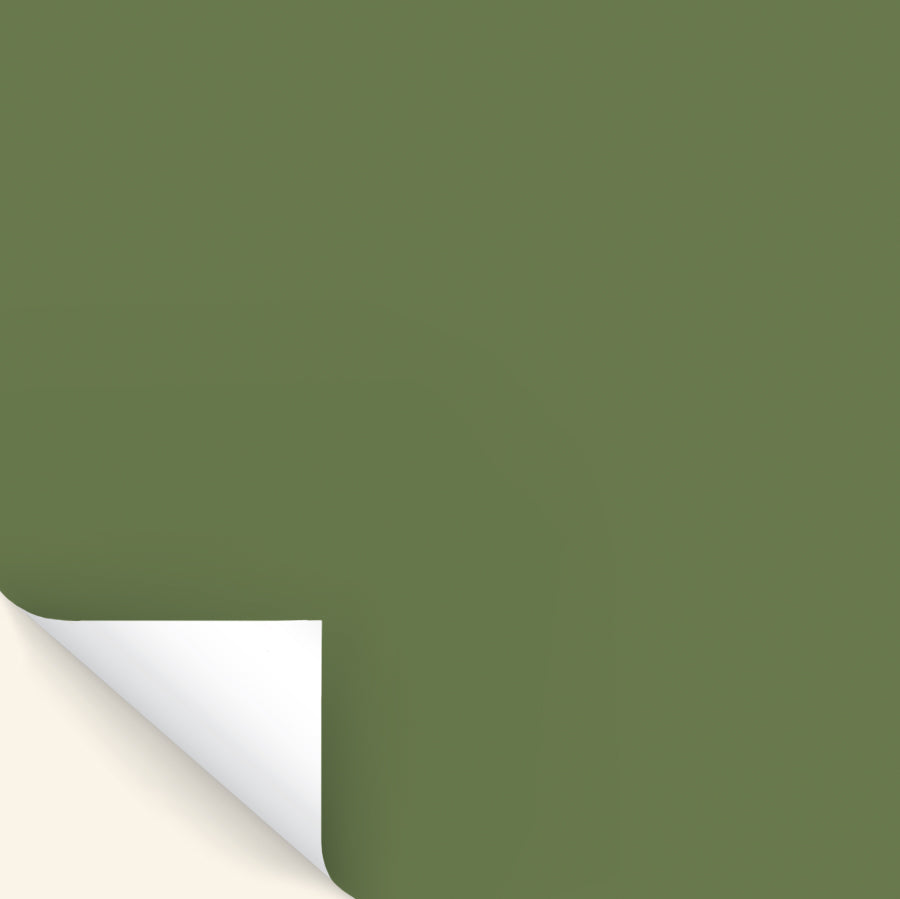 Forest Bathing Sample Paint Patch | Zhoosh Paints