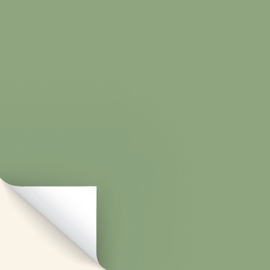 Herb Garden Sample Paint Patch | Zhoosh Paints