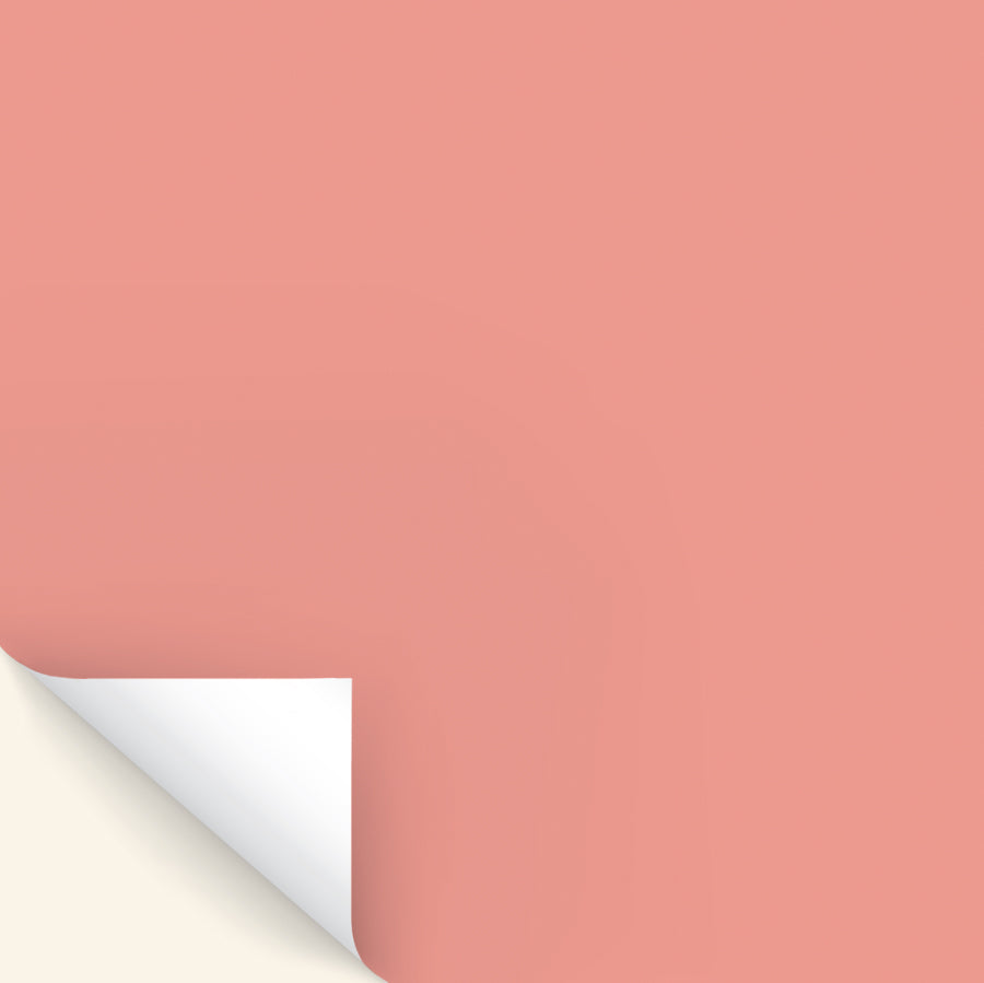Jaipur Sample Paint Patch | Zhoosh Paints