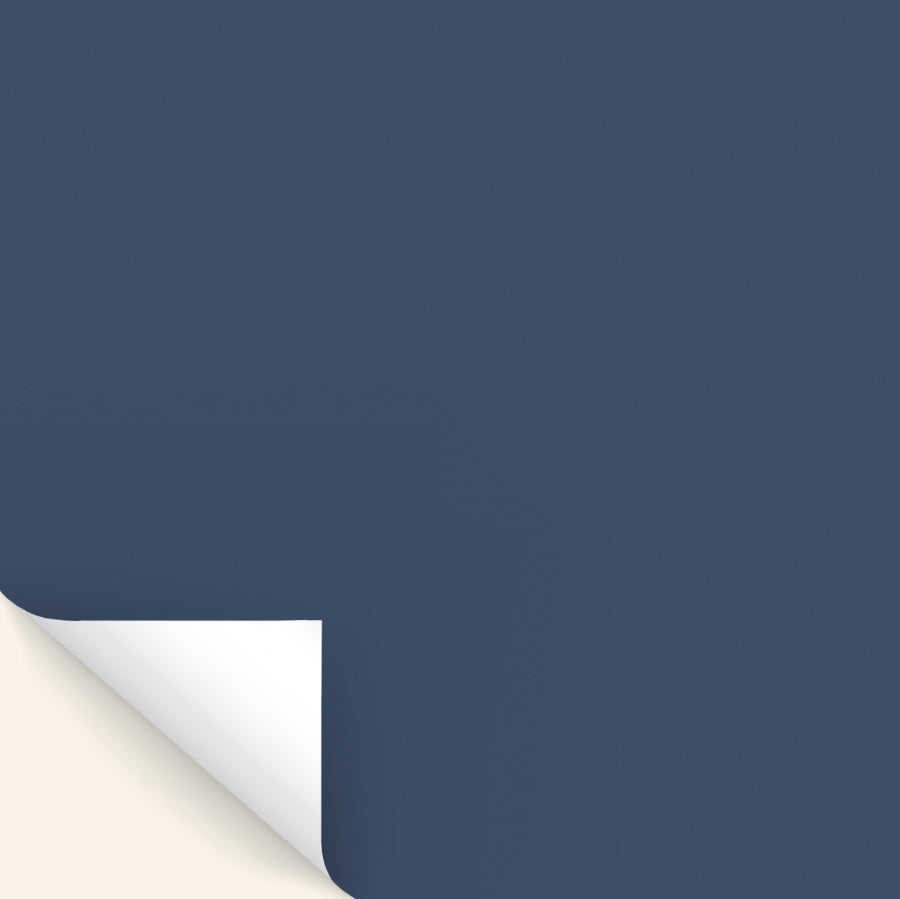 Last Train Home Sample Paint Patch | Zhoosh Paints