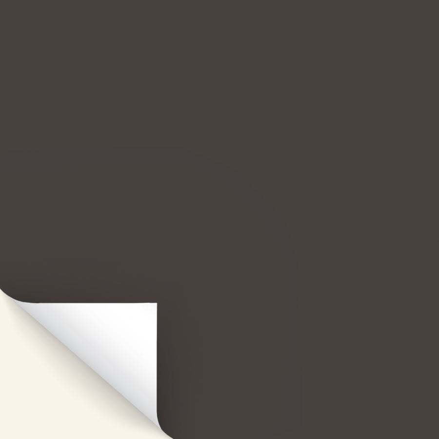 Lights Out Sample Paint Patch | Zhoosh Paints