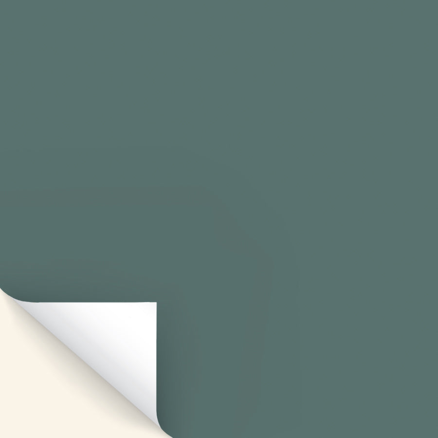 New Forest Fern Sample Paint Patch | Zhoosh Paints