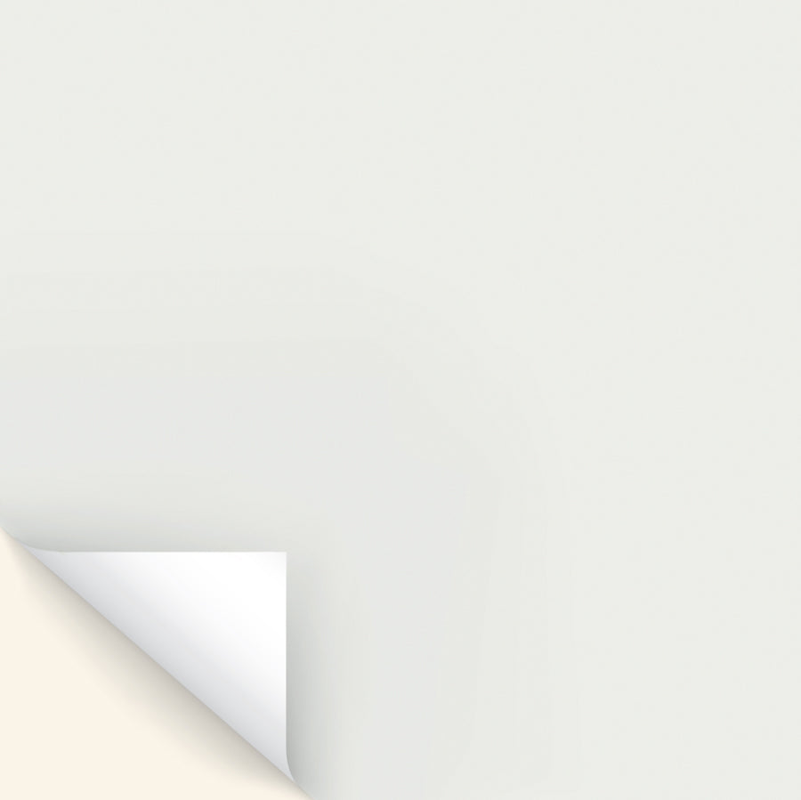 Off Piste Sample Paint Patch | Zhoosh Paints