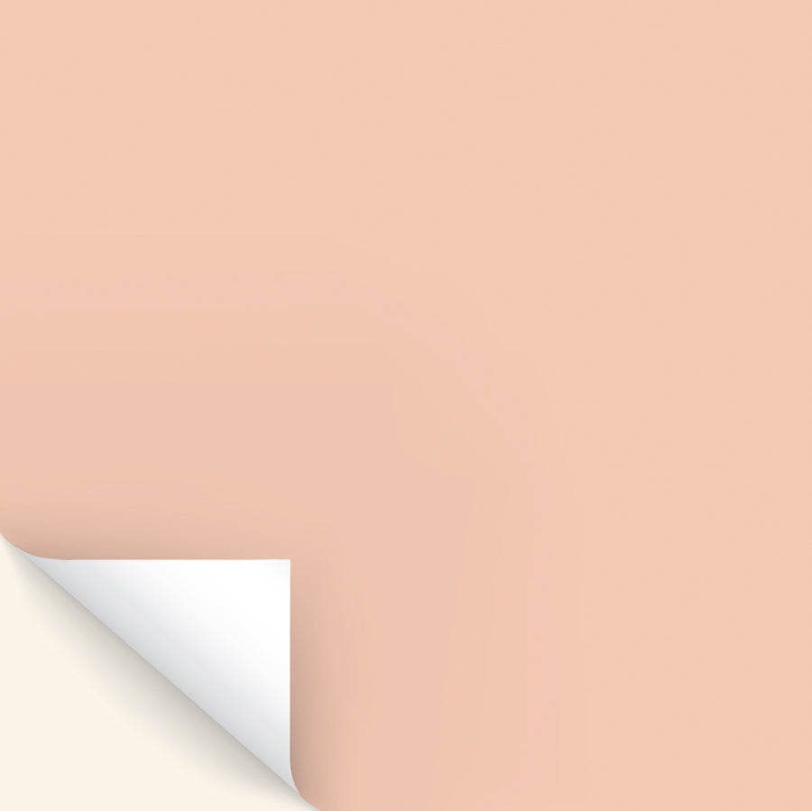 Peony Sample Paint Patch | Zhoosh Paints