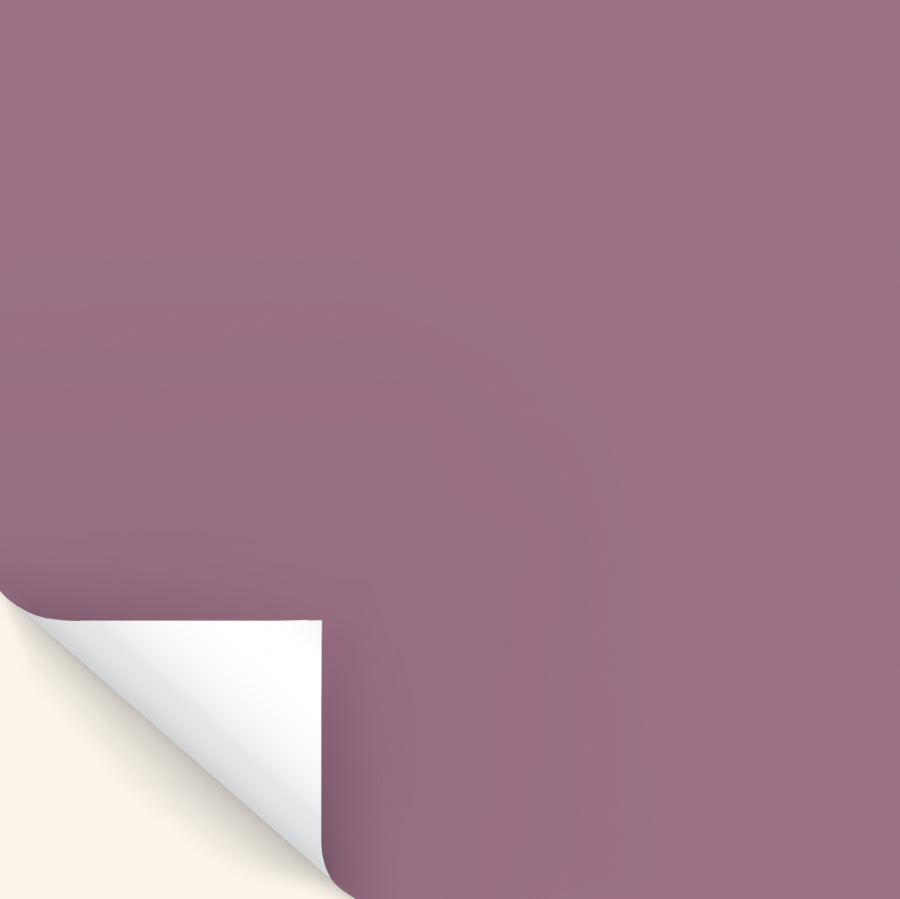 Plum Tree Sample Paint Patch | Zhoosh Paints