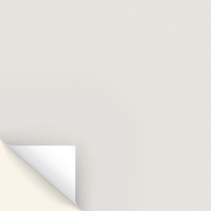 Snowdrop Sample Paint Patch | Zhoosh Paints