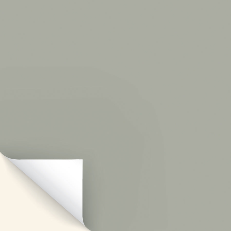 Through the Mist Sample Paint Patch | Zhoosh Paints