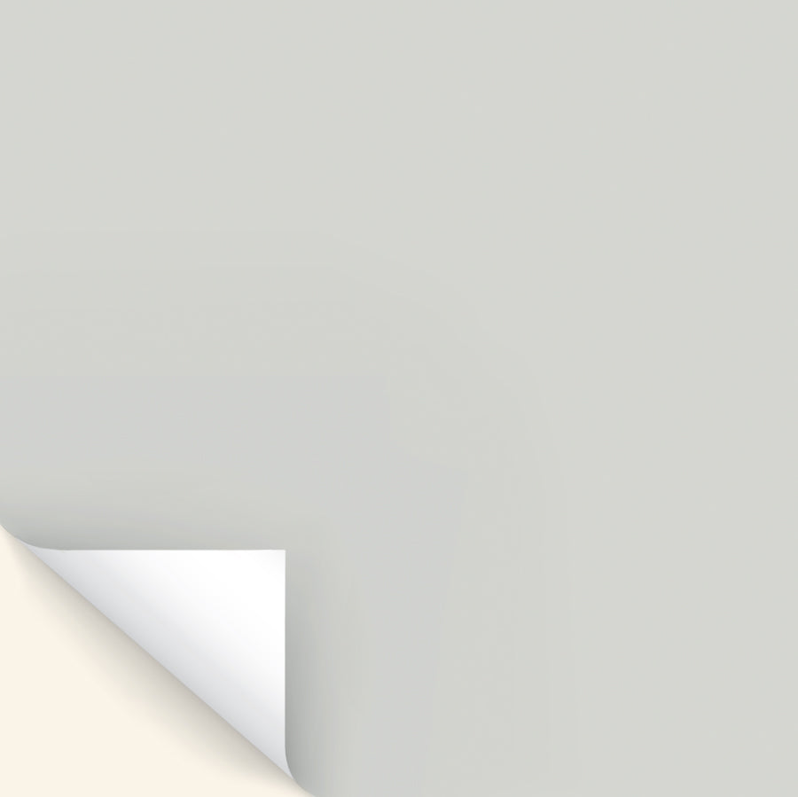 Winters Morning Sample Paint Patch | Zhoosh Paints