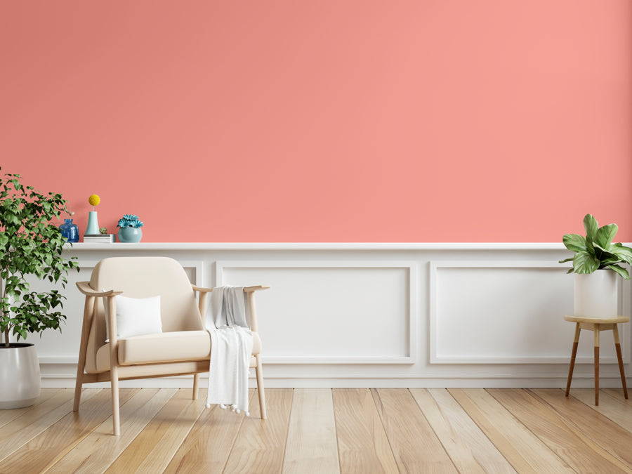 Fuschia Pink Paint | Jaipur Eggshell | Zhoosh Paints